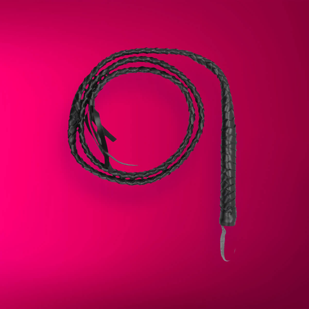 Fouet BDSM Punition Fleur De Peau